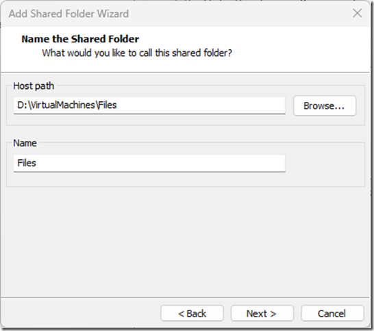 Installing Windows Server 2019 with IIS 10 on VMware Player | Peter Viola