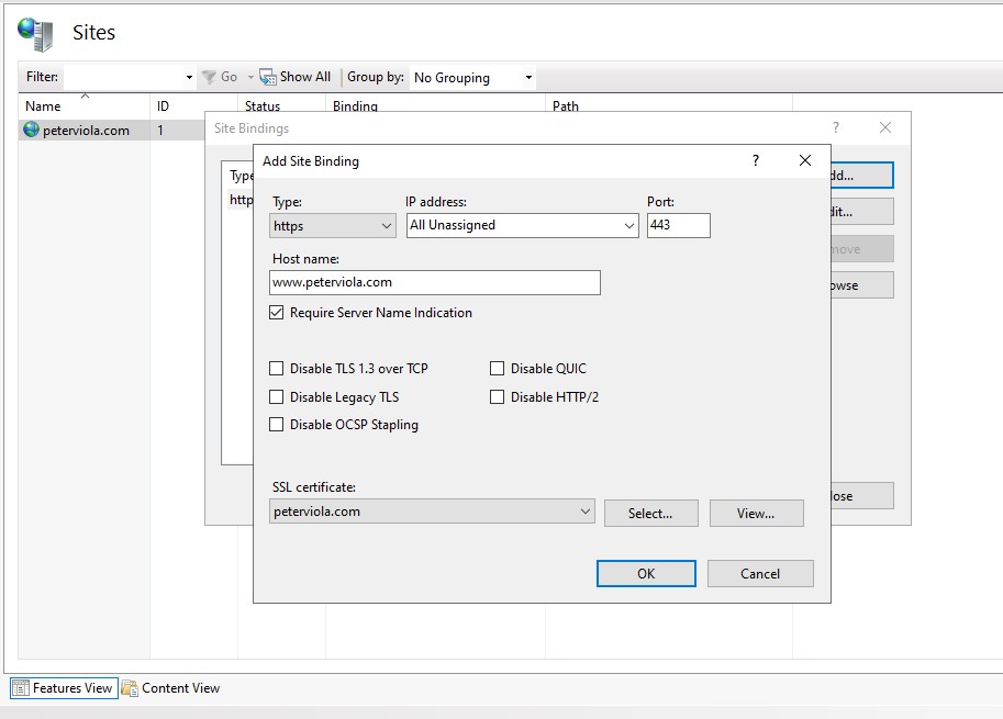 How to Scale SSL on IIS 10 with Server Name Indication | Peter Viola